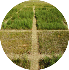 Walmes Marques Zeviani / mpaer · GitLab